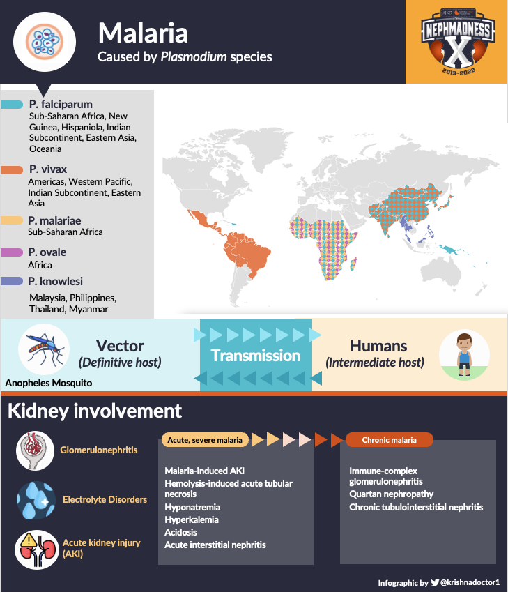#韦德国际官网网址 NephMadness 2022:寄生虫地区- AJKD博客伟德国际注册送25 - 伟德国际官网在线,bv伟德怎么下载